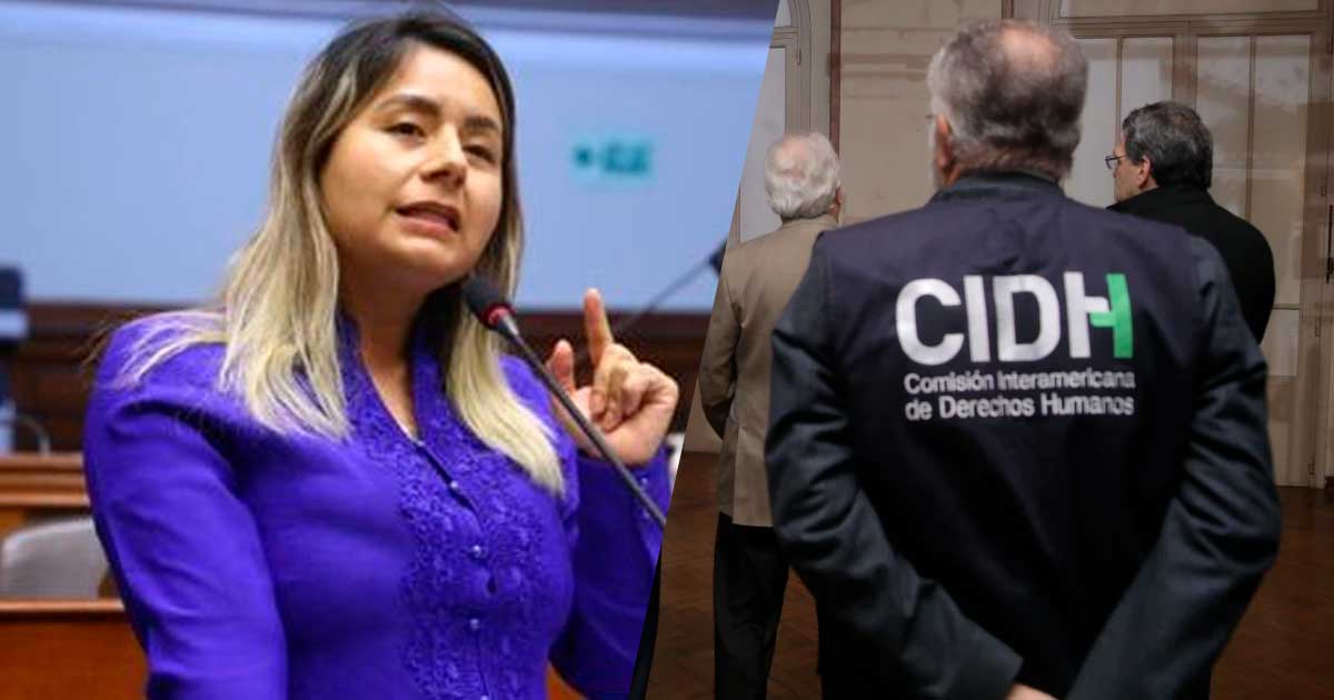 Tania Ramírez: “Perú debe retirarse de la CIDH, es proterrorista y anti ...